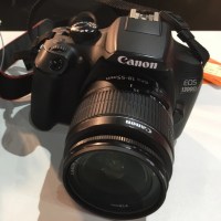 Falkirk – Selkie’s Photography